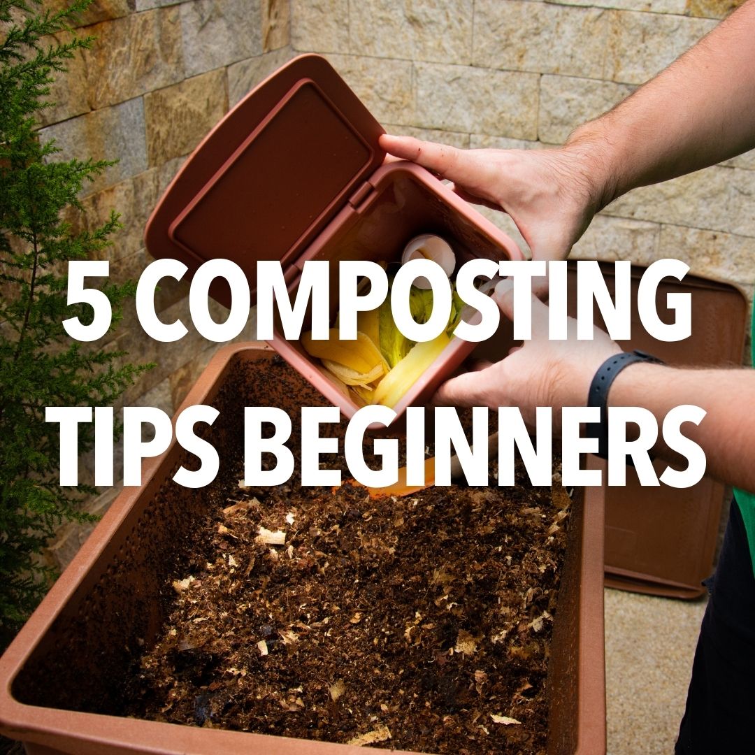 5 Composting Bin Tips For Beginners | Tripod Coffee