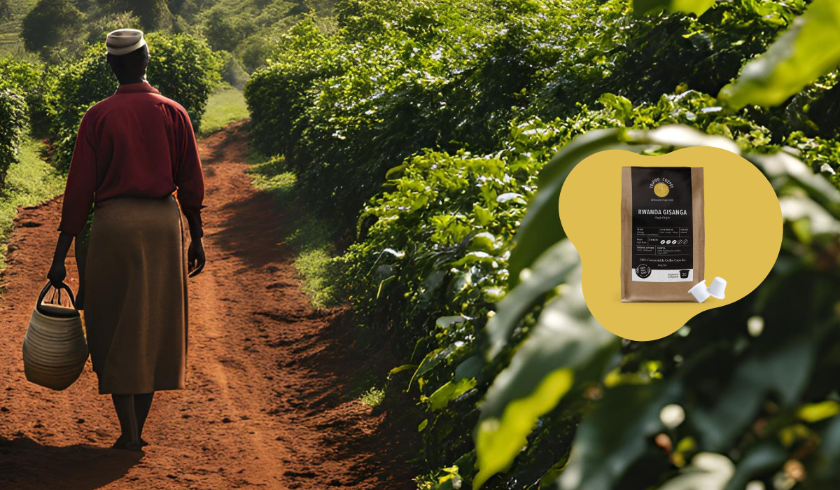Tripod Coffee | Australia's #1 Sustainable Coffee Pods